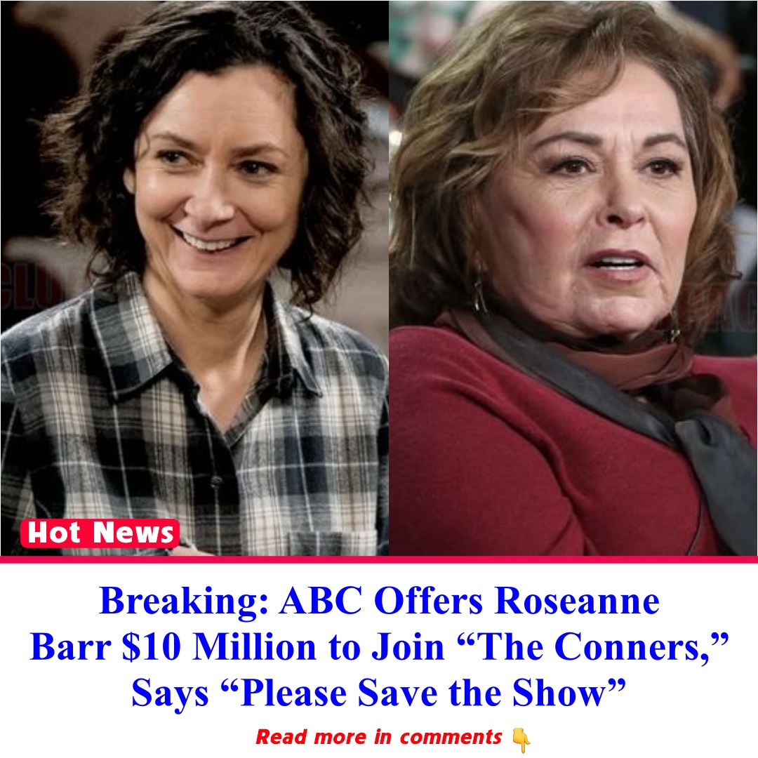 Breaking: ABC Offers Roseanne Barr $10 Million to Join “The Conners ...