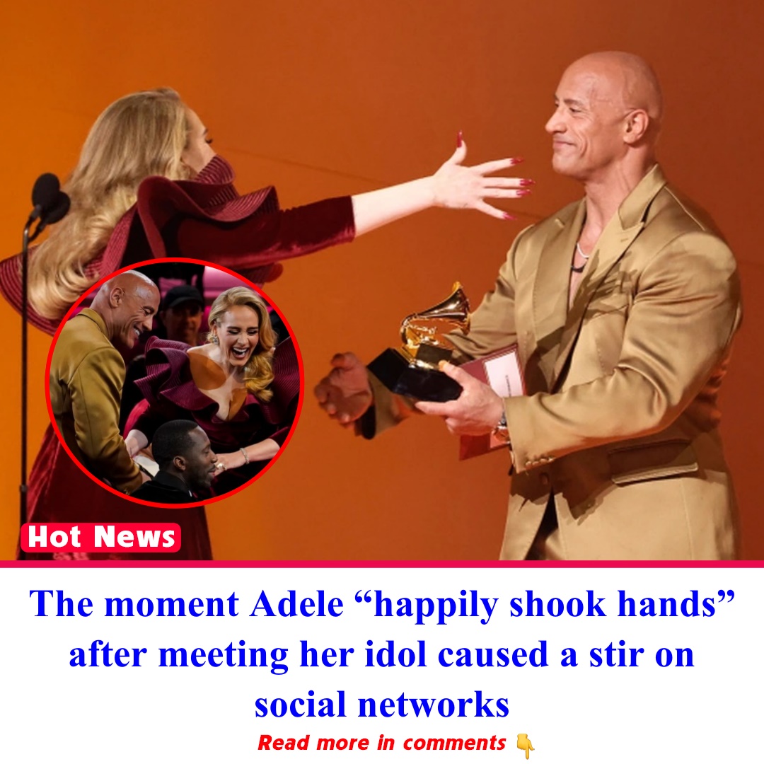 The moment Adele “happily shook hands” after meeting her idol caused a ...
