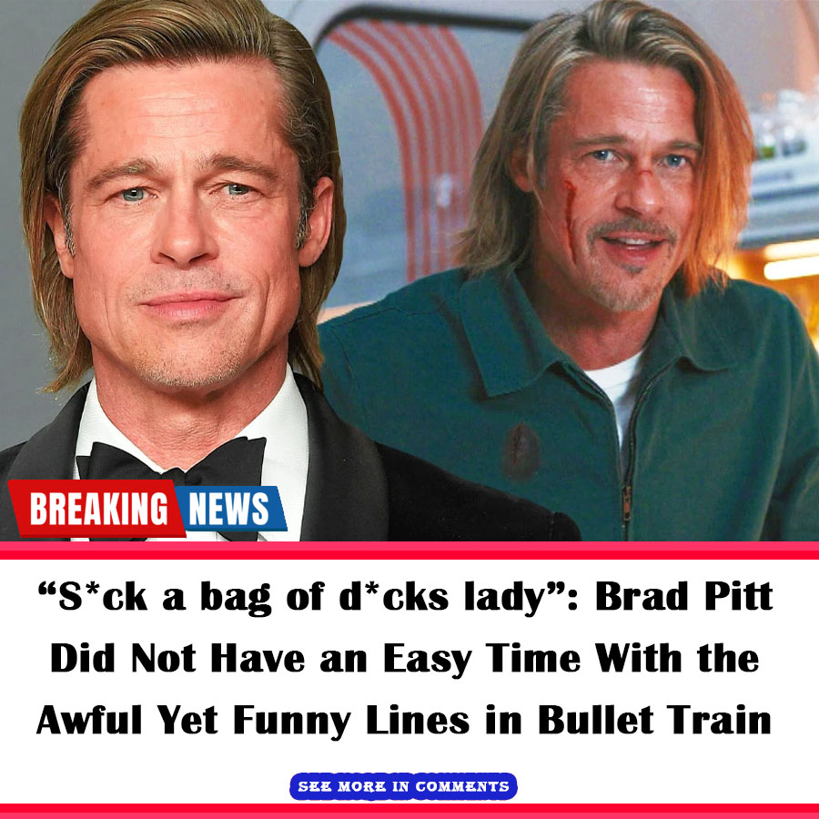 “S*ck a bag of d*cks lady”: Brad Pitt Did Not Have an Easy Time With ...