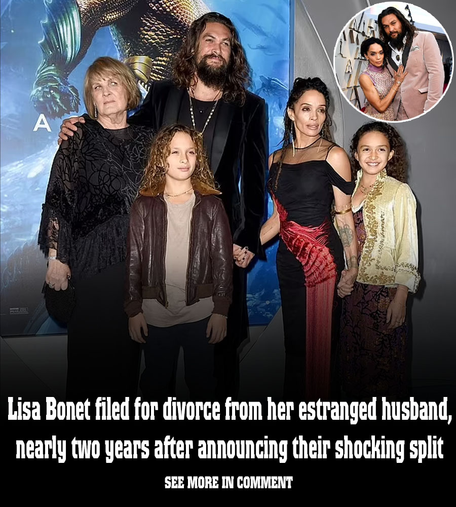 Lisa Bonet FINALLY files to divorce estranged husband Jason Momoa... almost two years after ...