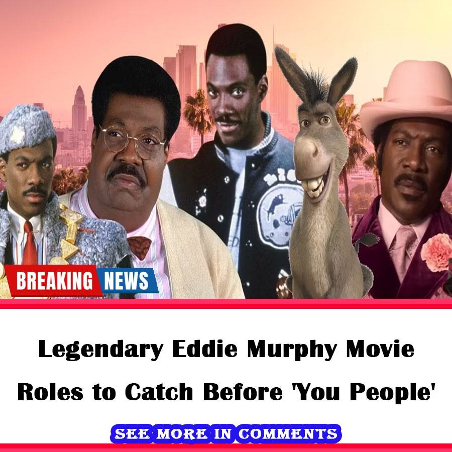 Legendary Eddie Murphy Movie Roles to Catch Before 'You People' - News
