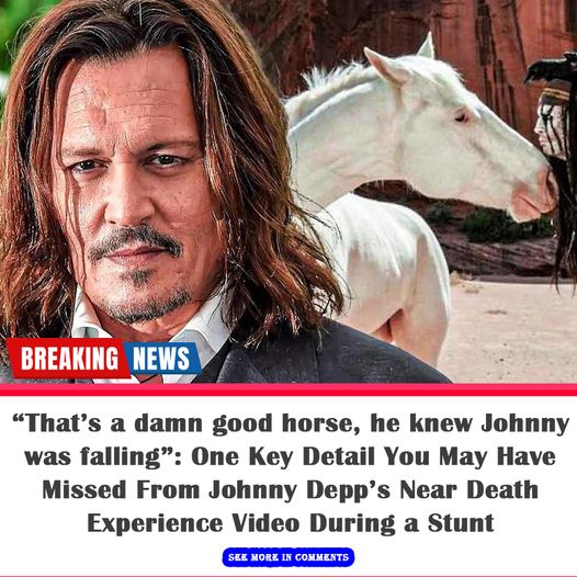 “That’s a damn good horse, he knew Johnny was falling”: One Key Detail ...