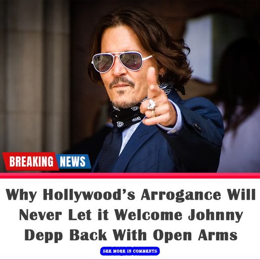 Why Hollywood’s Arrogance Will Never Let it Welcome Johnny Depp Back ...