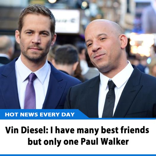 Vin Diesel: I have many best friends but only one Paul Walker - News