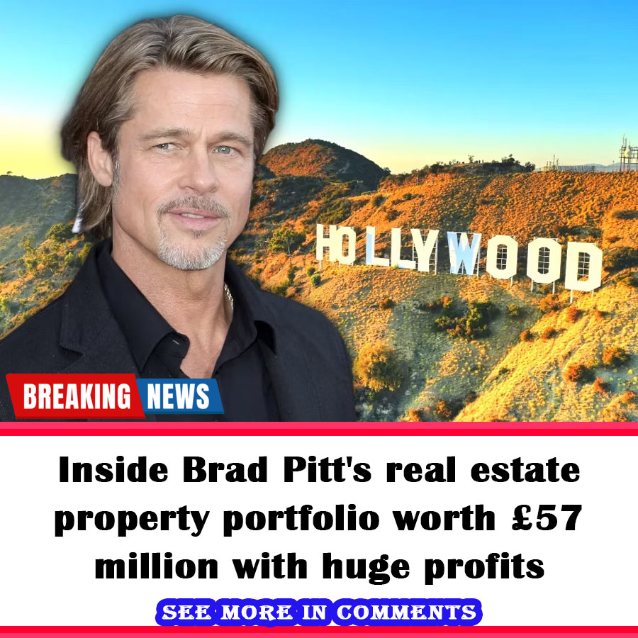 Inside Brad Pitt's real estate property portfolio worth £57million with huge profits.NH - News