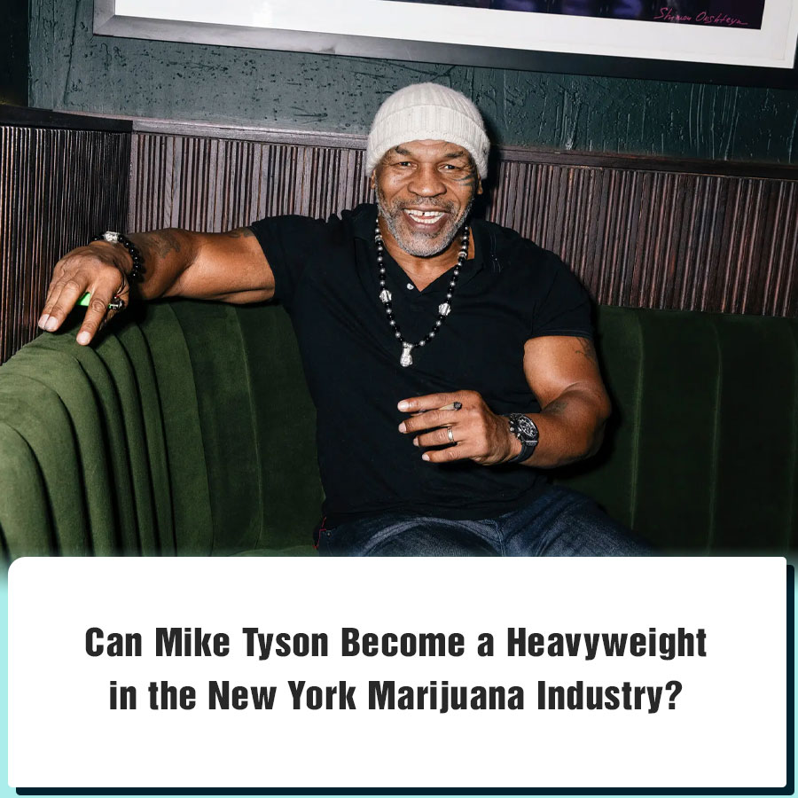 Can Mike Tyson Become a Heavyweight in the New York Marijuana Industry? - News