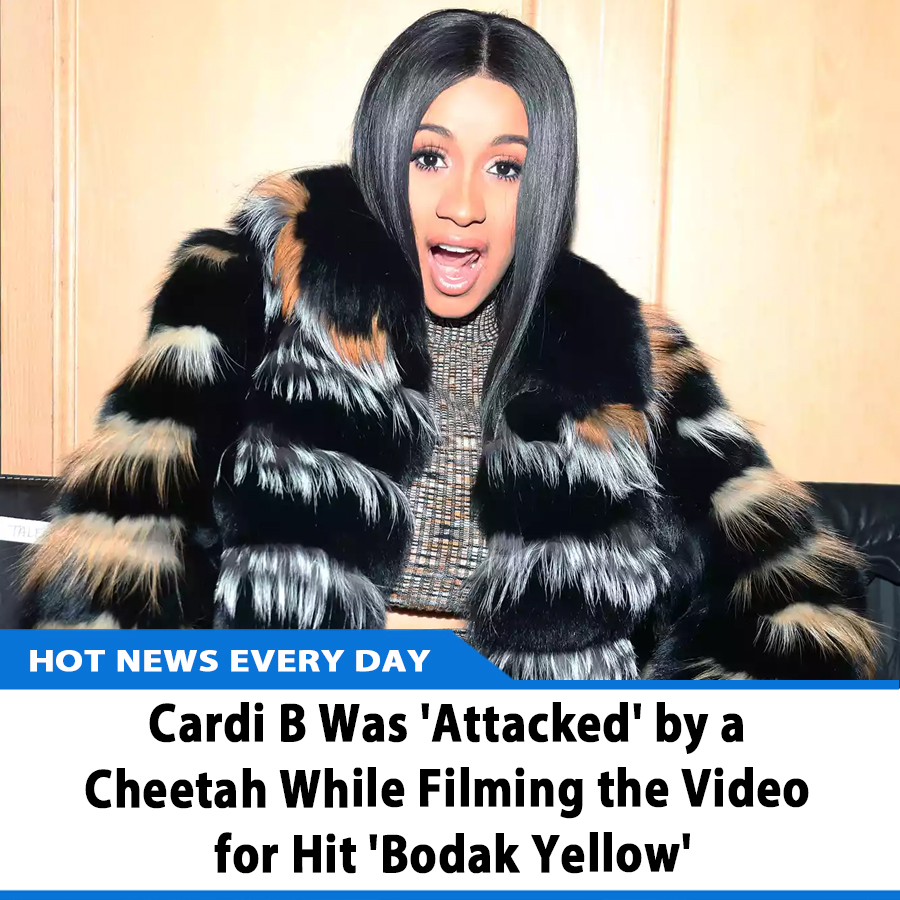 Cardi B Was 'Attacked' by a Cheetah While Filming the Video for Hit ...