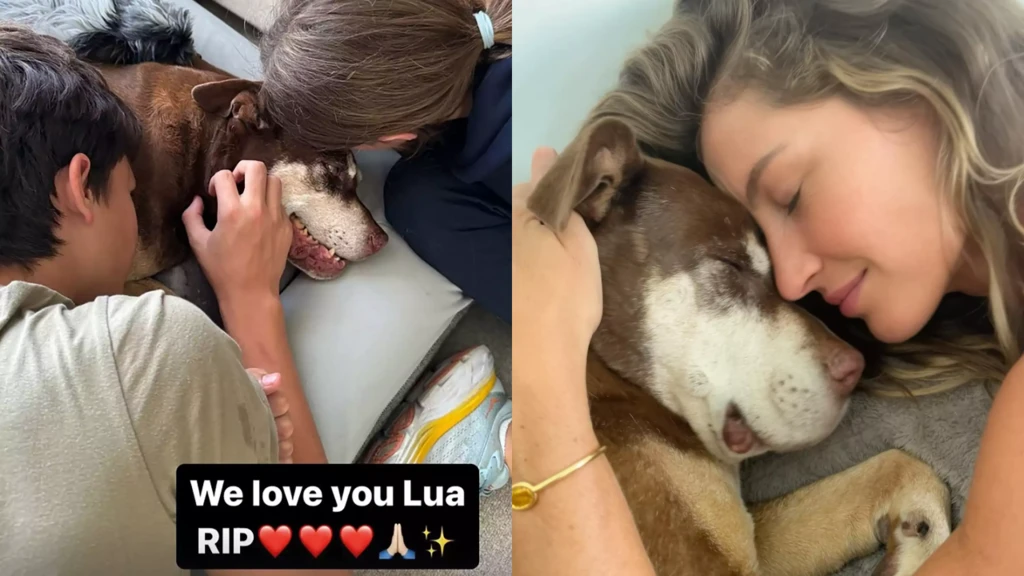 Tom Brady and Gisele Bündchen Mourn Death of Family Dog Lulu: 'Forever ...