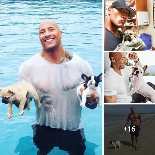 Dwayne ‘The Rock’ Johnson is Smitten by These Charming Puppies - News