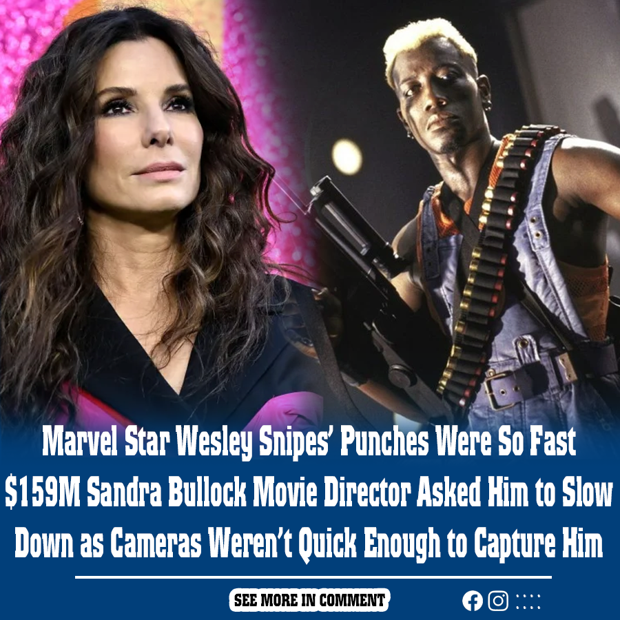 Marvel Star Wesley Snipes’ Punches Were So Fast $159M Sandra Bullock ...