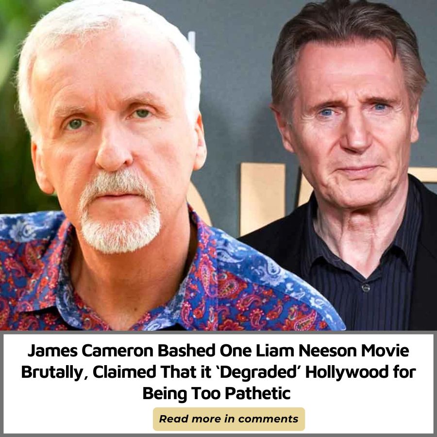 James Cameron Bashed One Liam Neeson Movie Brutally, Claimed That it ...