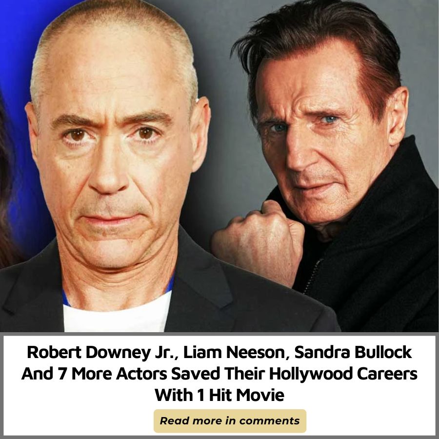 Robert Downey Jr., Liam Neeson, Sandra Bullock And 7 More Actors Saved ...