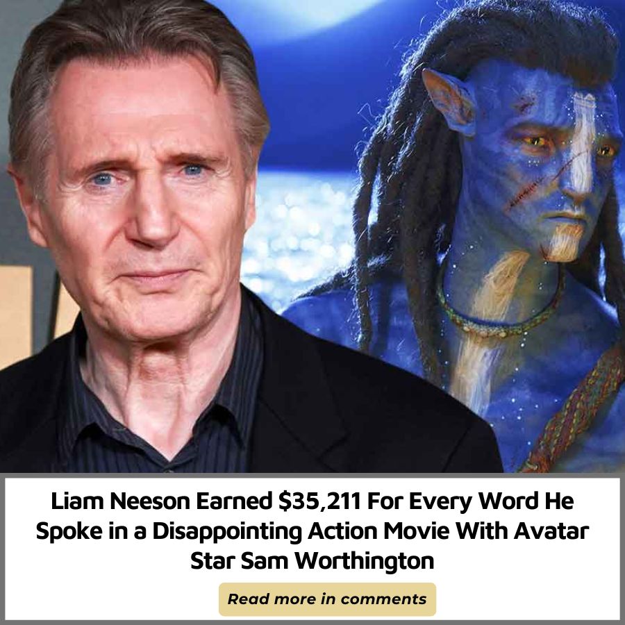 Liam Neeson Earned $35,211 For Every Word He Spoke in a Disappointing ...