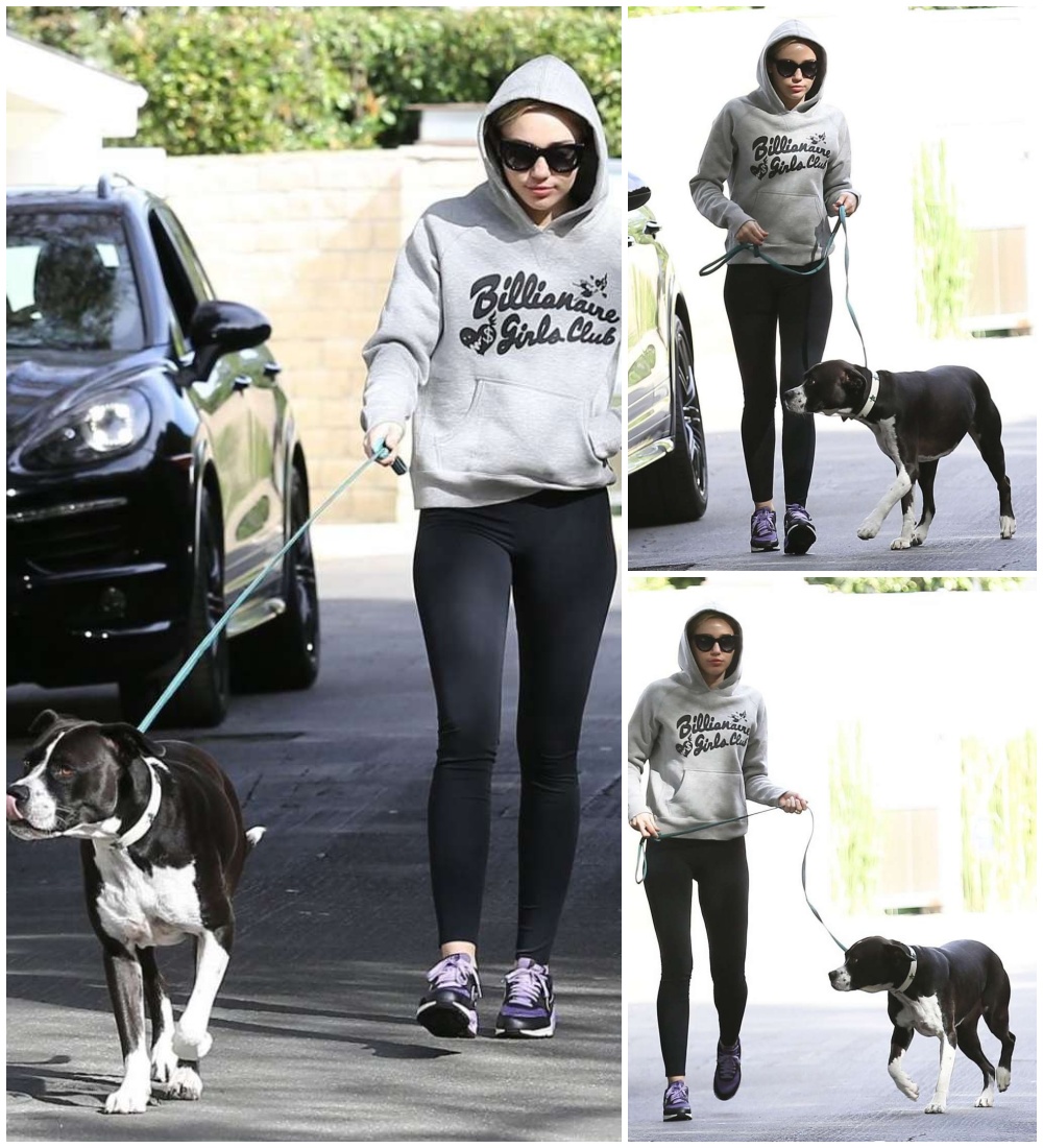 Miley Cyrus Embarks on an Exciting Canine Adventure through the Vibrant ...