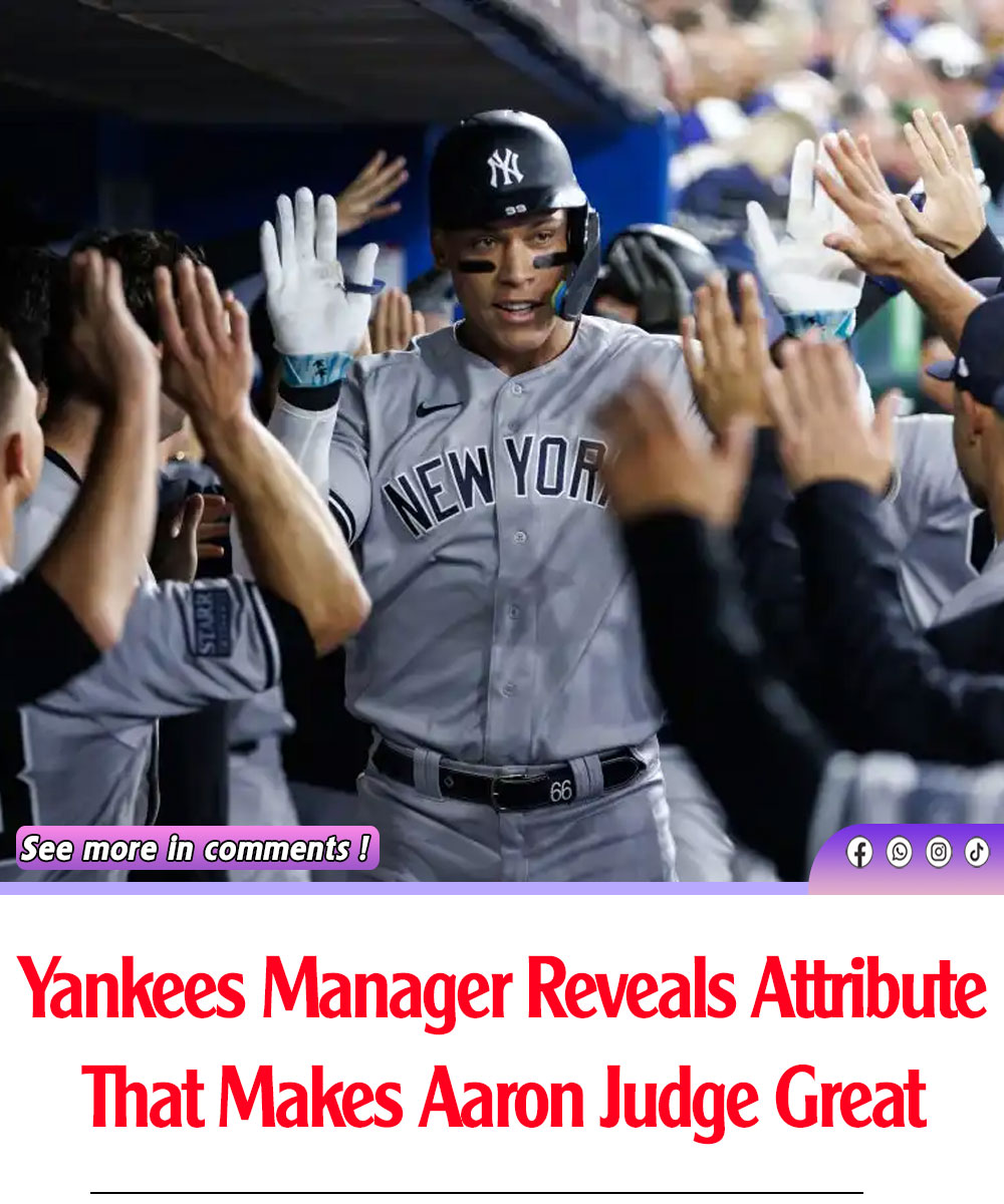 Yankees Manager Reveals Attribute That Makes Aaron Judge Great - News