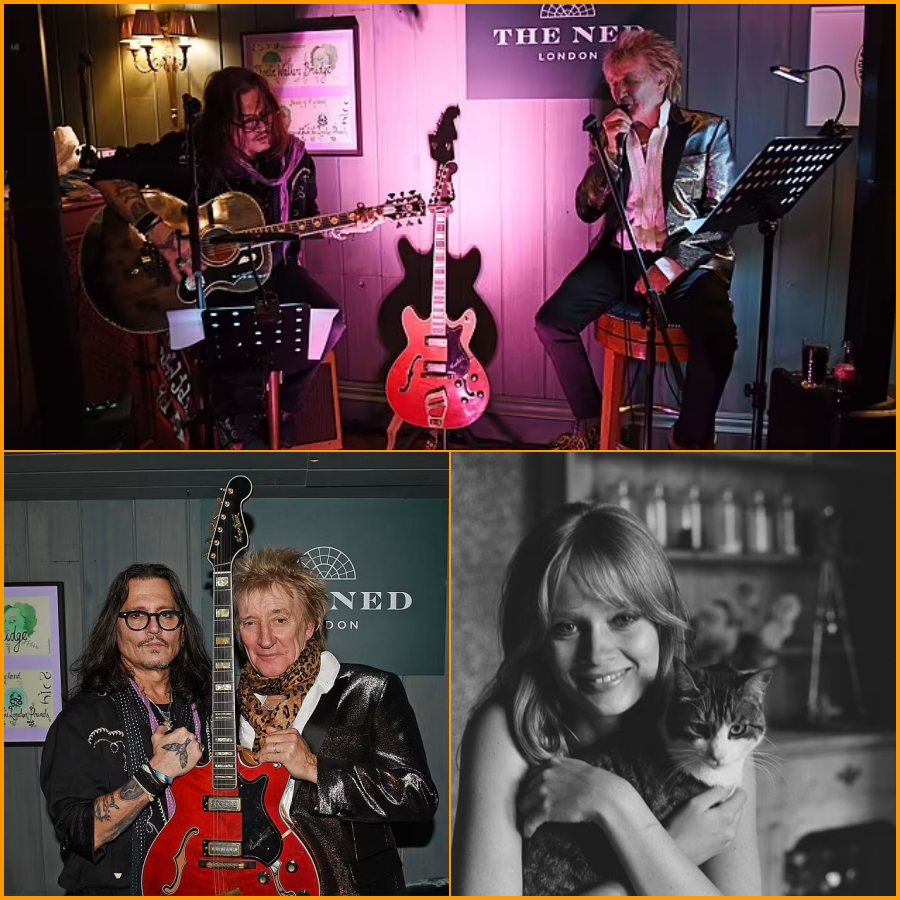 Johnny Depp and Rod Stewart’s amazing performance for Celia Hammond’s ...