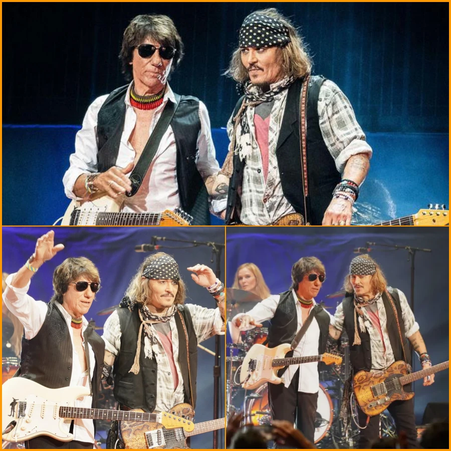 How Johnny Depp and Rod Stewart showed their love for animals with a ...