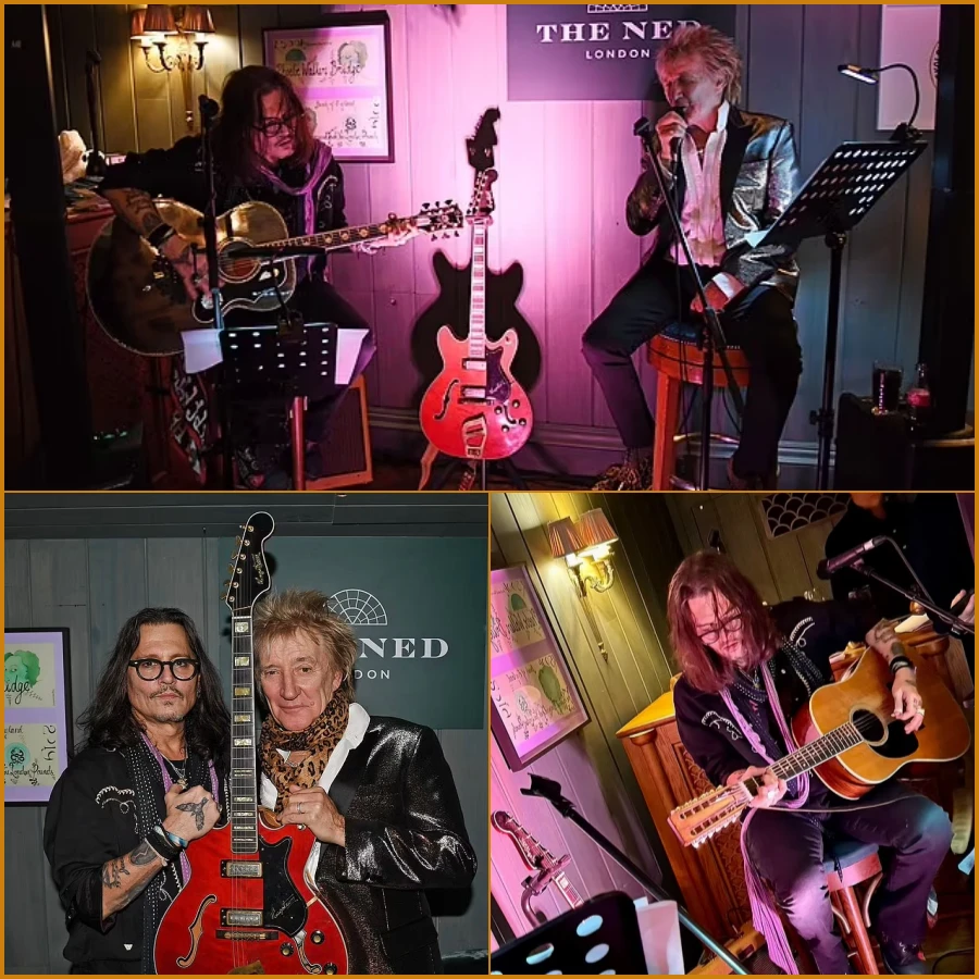 How Johnny Depp and Rod Stewart join forces on '60s supermodel's ...