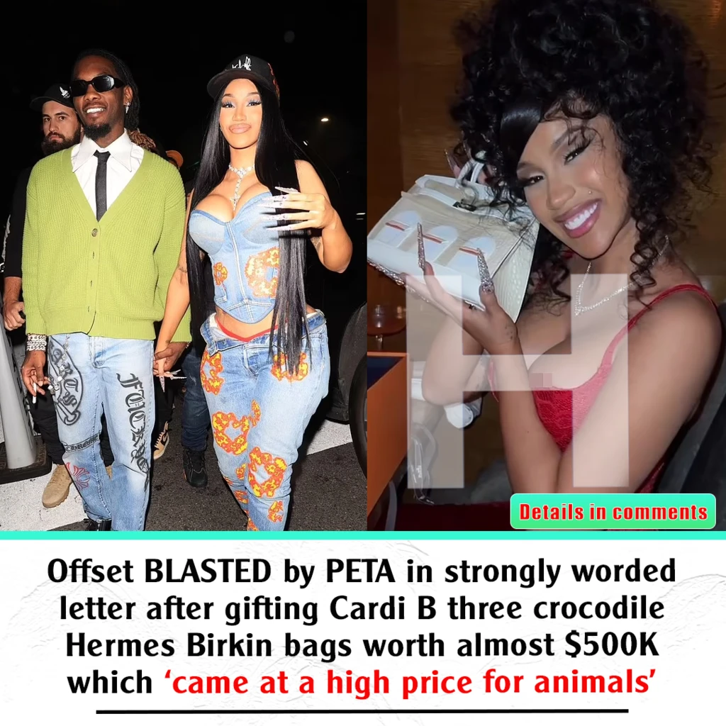 Offset BLASTED by PETA in strongly worded letter after gifting Cardi B three crocodile Hermes ...
