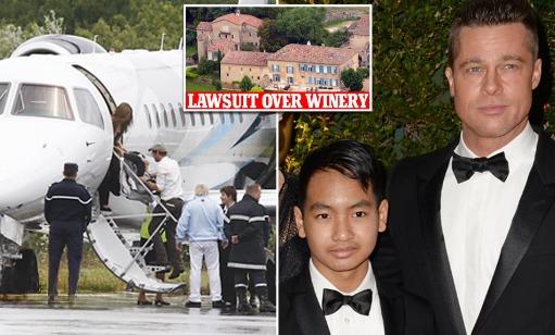 Brad Pitt 'choked' one of his children and 'slapped another in the face ...