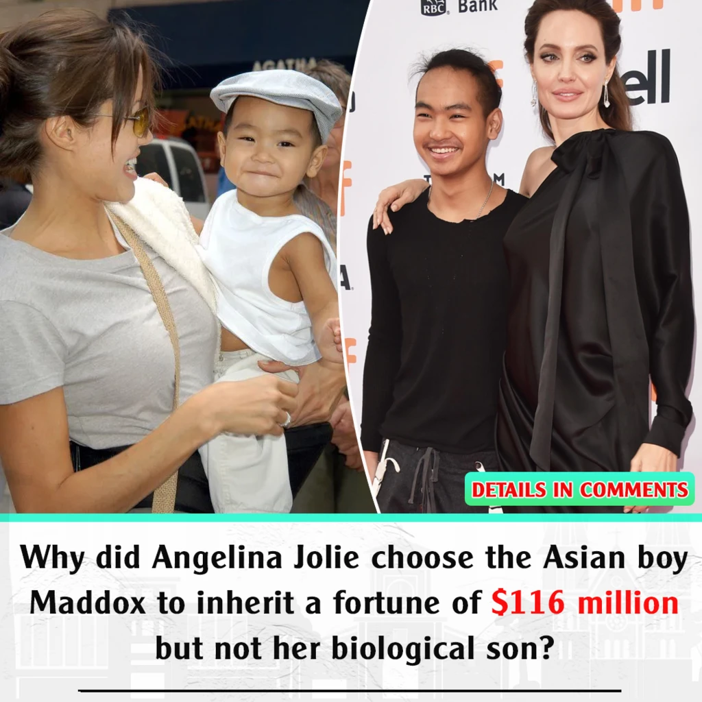 Why did Angelina Jolie choose the Asian boy Maddox to inherit a fortune of 116 million USD but ...