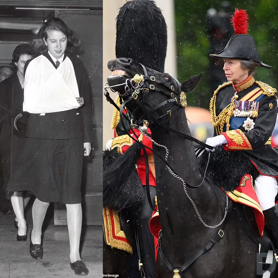 Princess Anne is in hospital after suffering 'minor injuries and ...