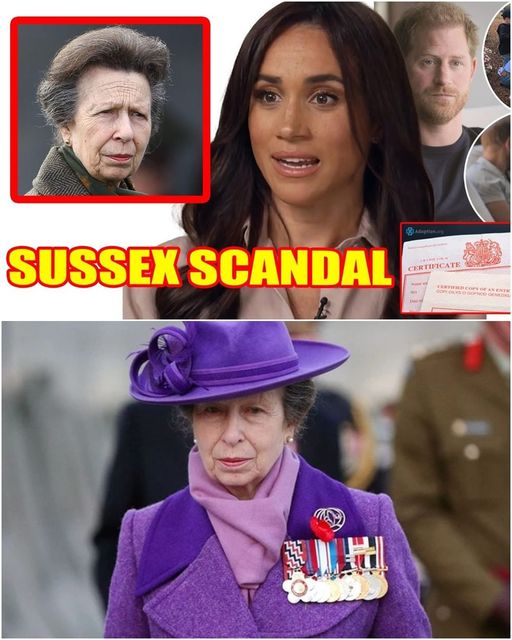 SUSSEX SCANDAL: Princess Anne Publishes Arc & Lili Adoption Records ...