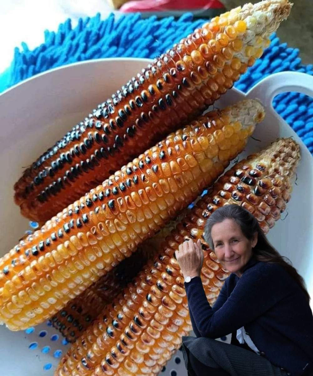 11 Important Facts You Should Know Before Eating Grilled Corn/hi - News