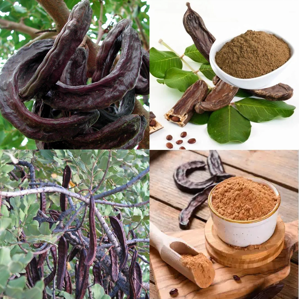 Carob: The Forgotten Superfruit Making a Healthy Comeback in 2025 - News