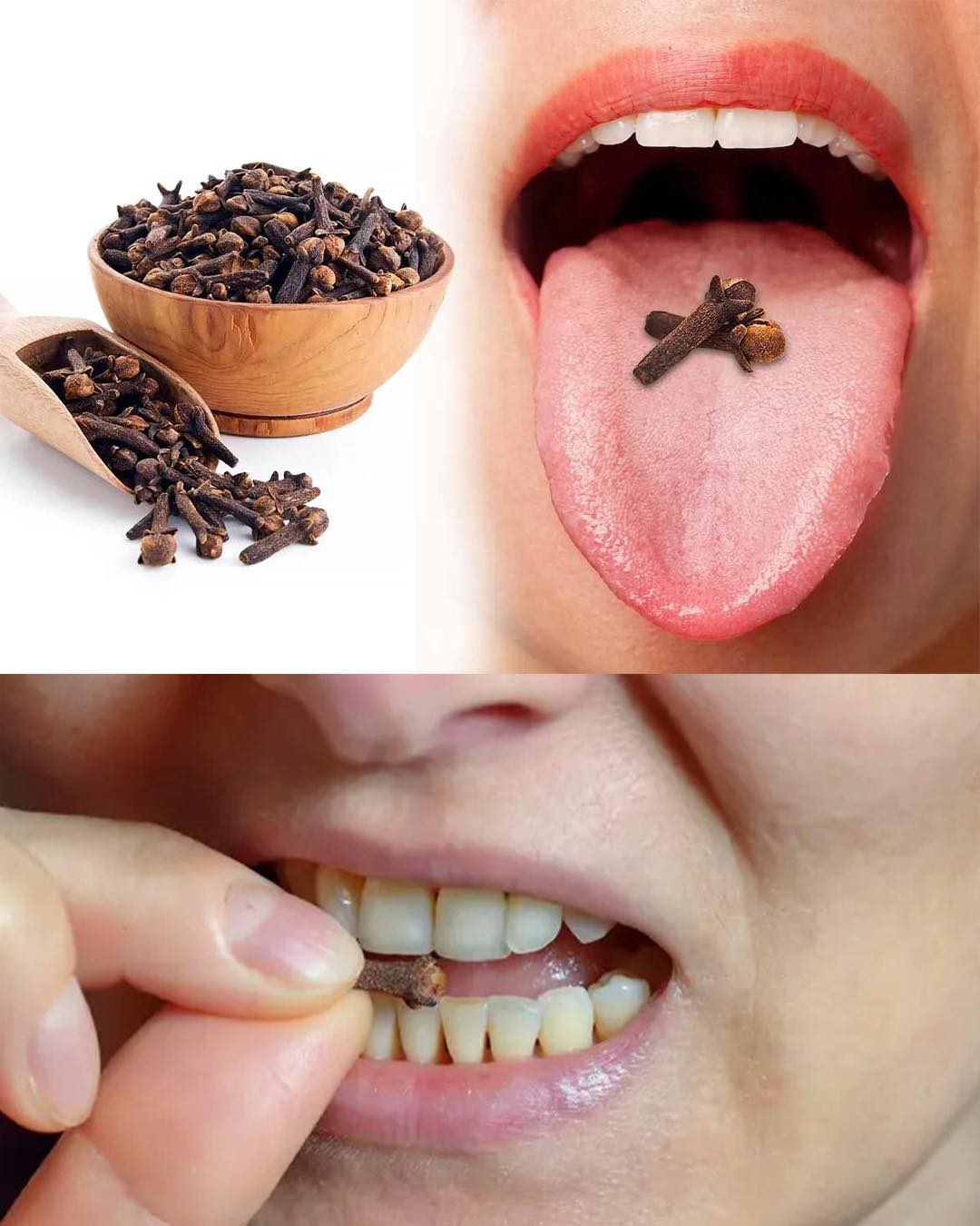 Chewing Cloves Daily: A Tiny Habit with Massive Health Benefits /dn - News