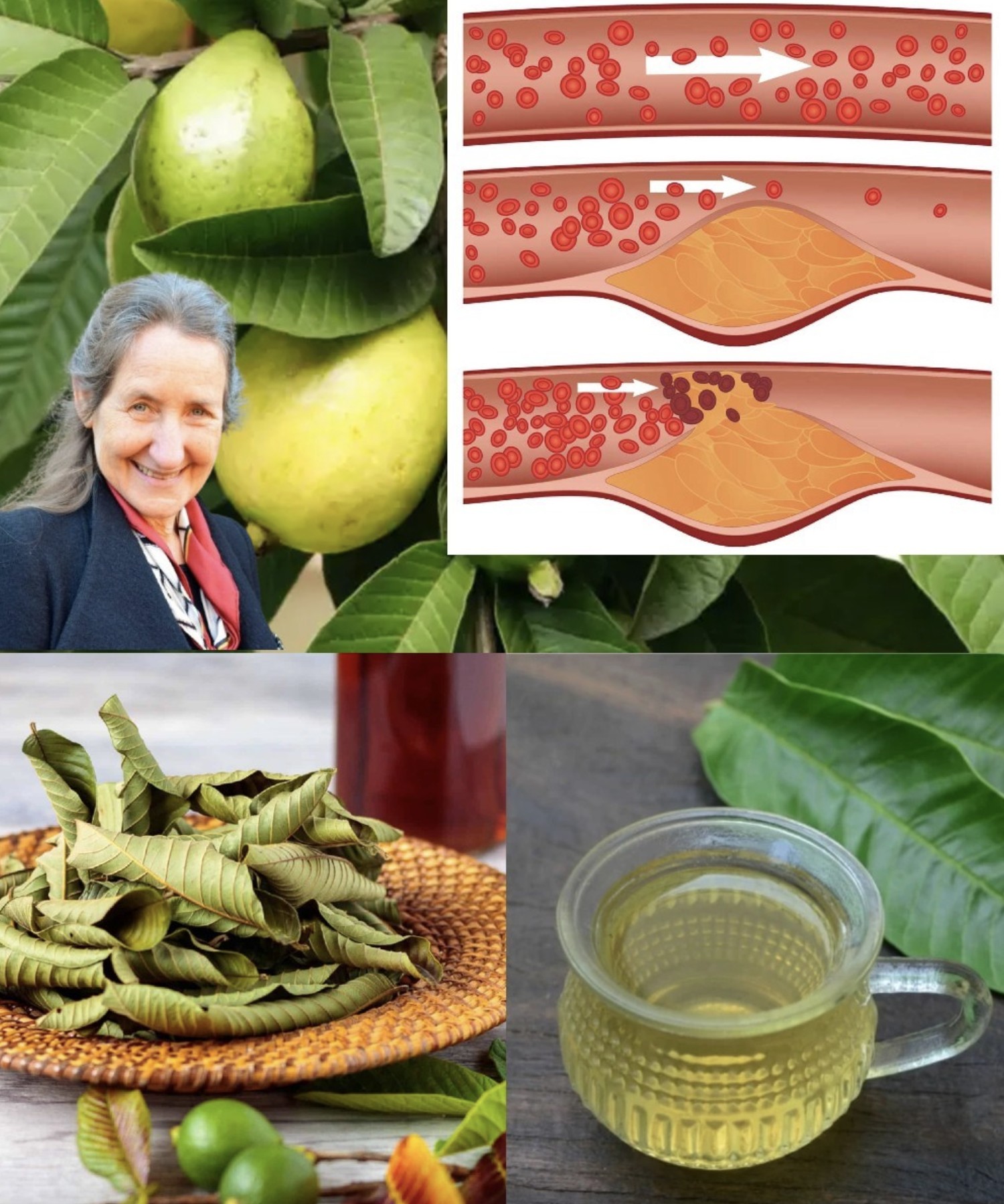 Energizing and Calming Teas: The Perfect Blends to Start Your Day and ...