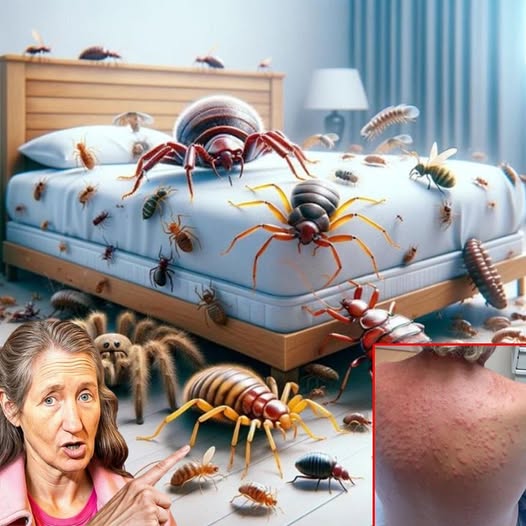 Natural Pest Control: Safely Eliminate Bed Bugs and Household Pests ...