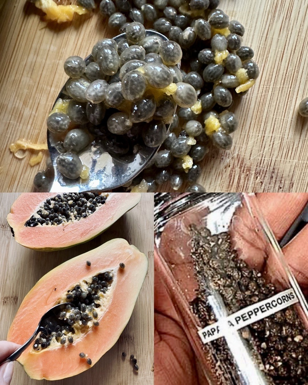 Unlocking the Hidden Power of Papaya Seeds: Health Benefits and How to ...