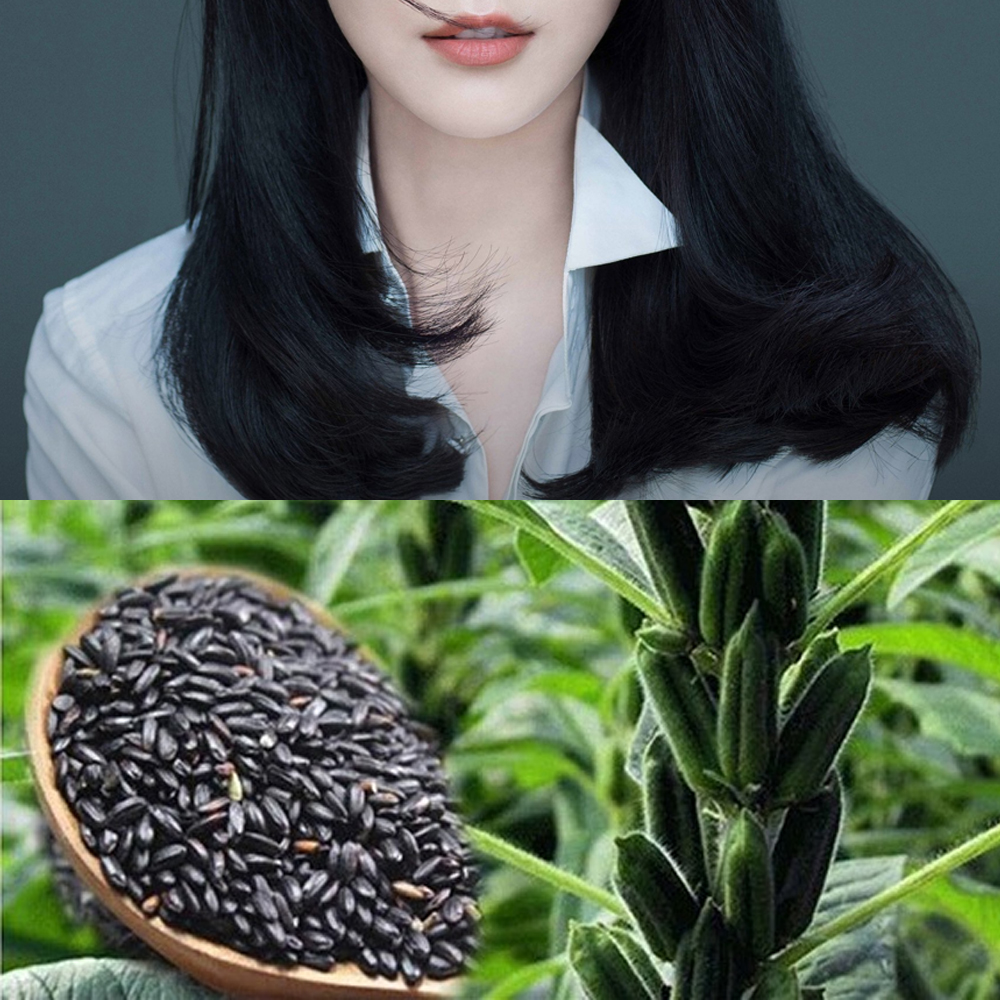 10 foods to prevent hair loss, stimulate hair growth, and help hair ...