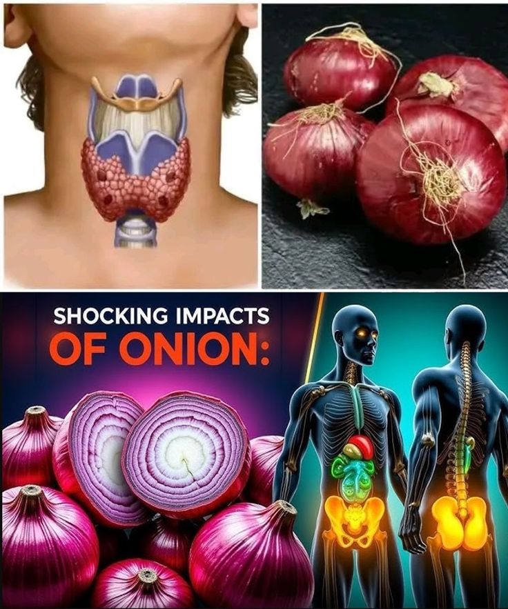 The Incredible Health Benefits of Onions (Allium cepa) for Your Bladder ...