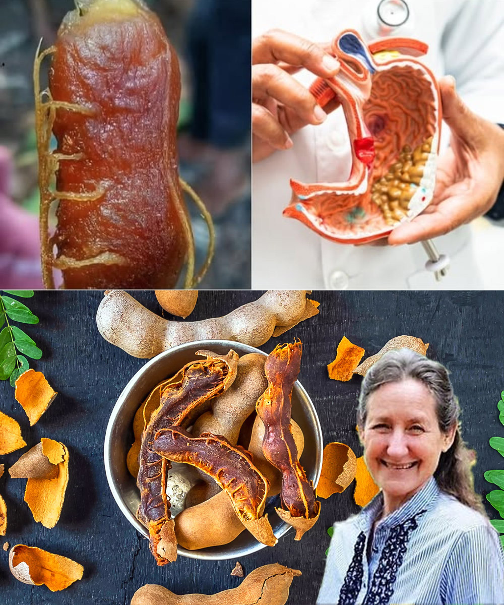 If You Know These 5 Facts, You’ll Want to Eat More Tamarind!/hi - News