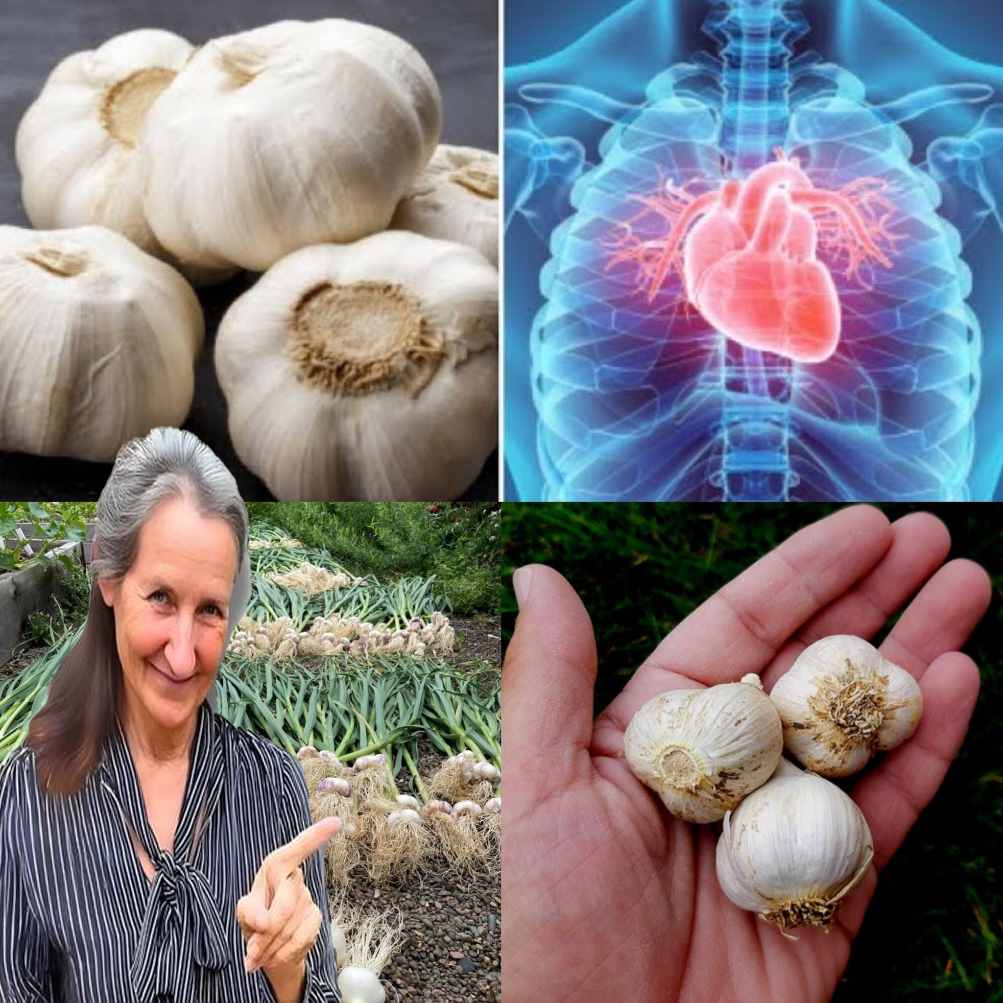 5 Miracle Cures of Garlic That Will Surprise You – The Powerful Health ...
